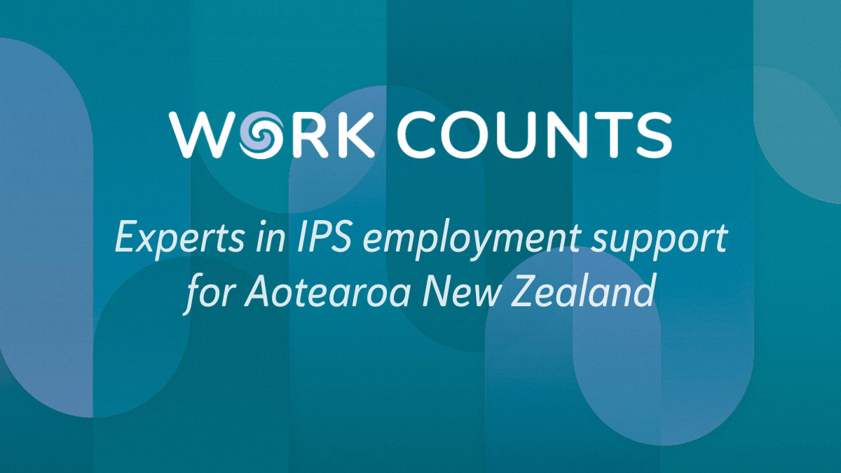 Fidelity Self-Assessment - Work Counts